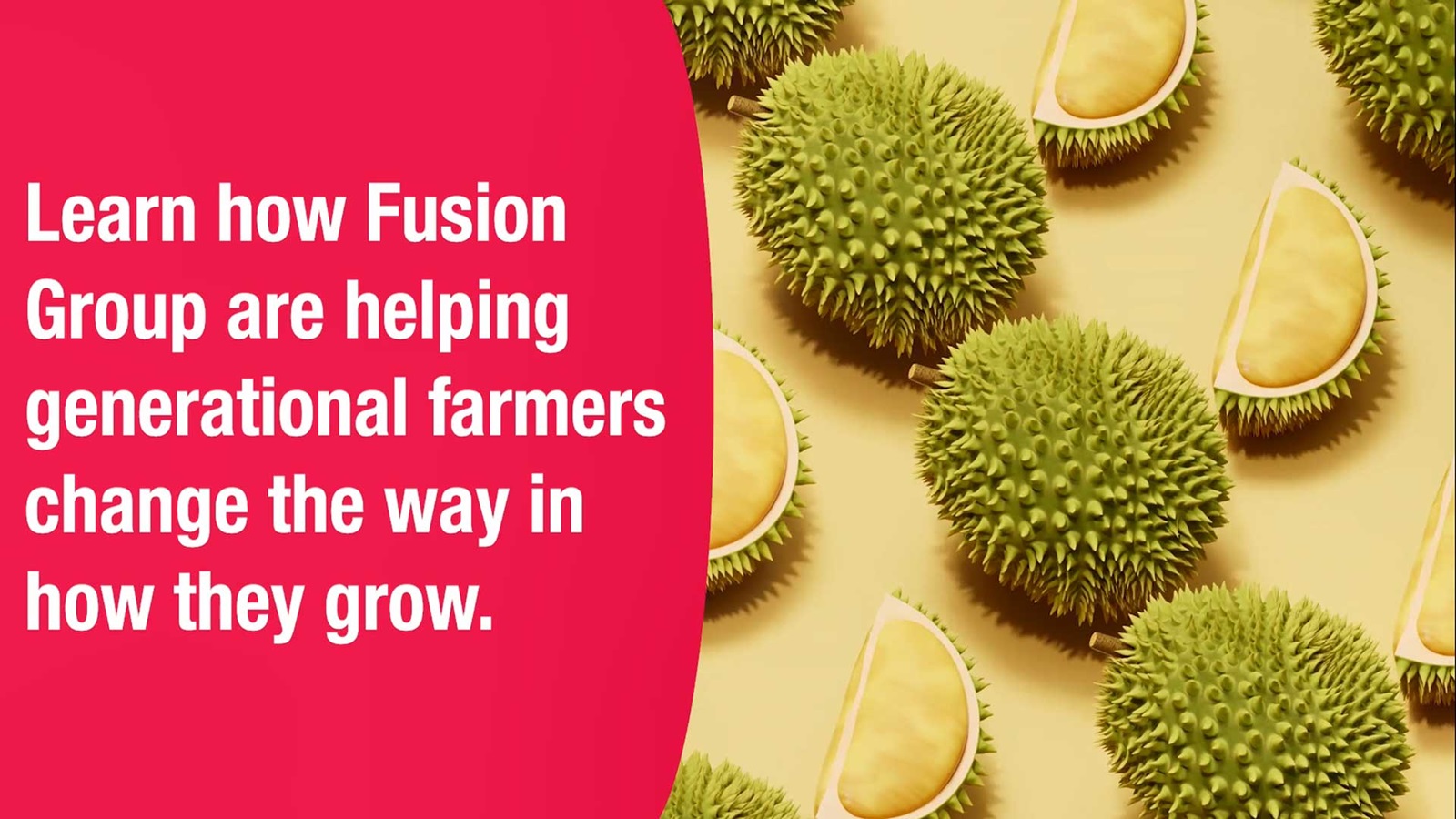 Durian Fruit - Fusion Group Limited