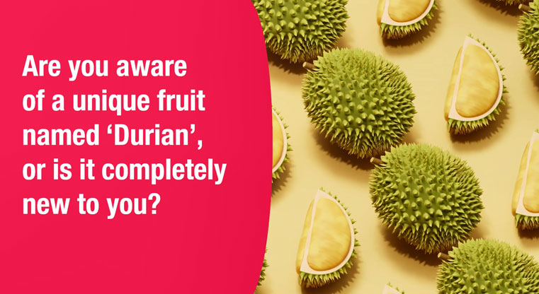 Durian Fruit - Fusion Group Limited